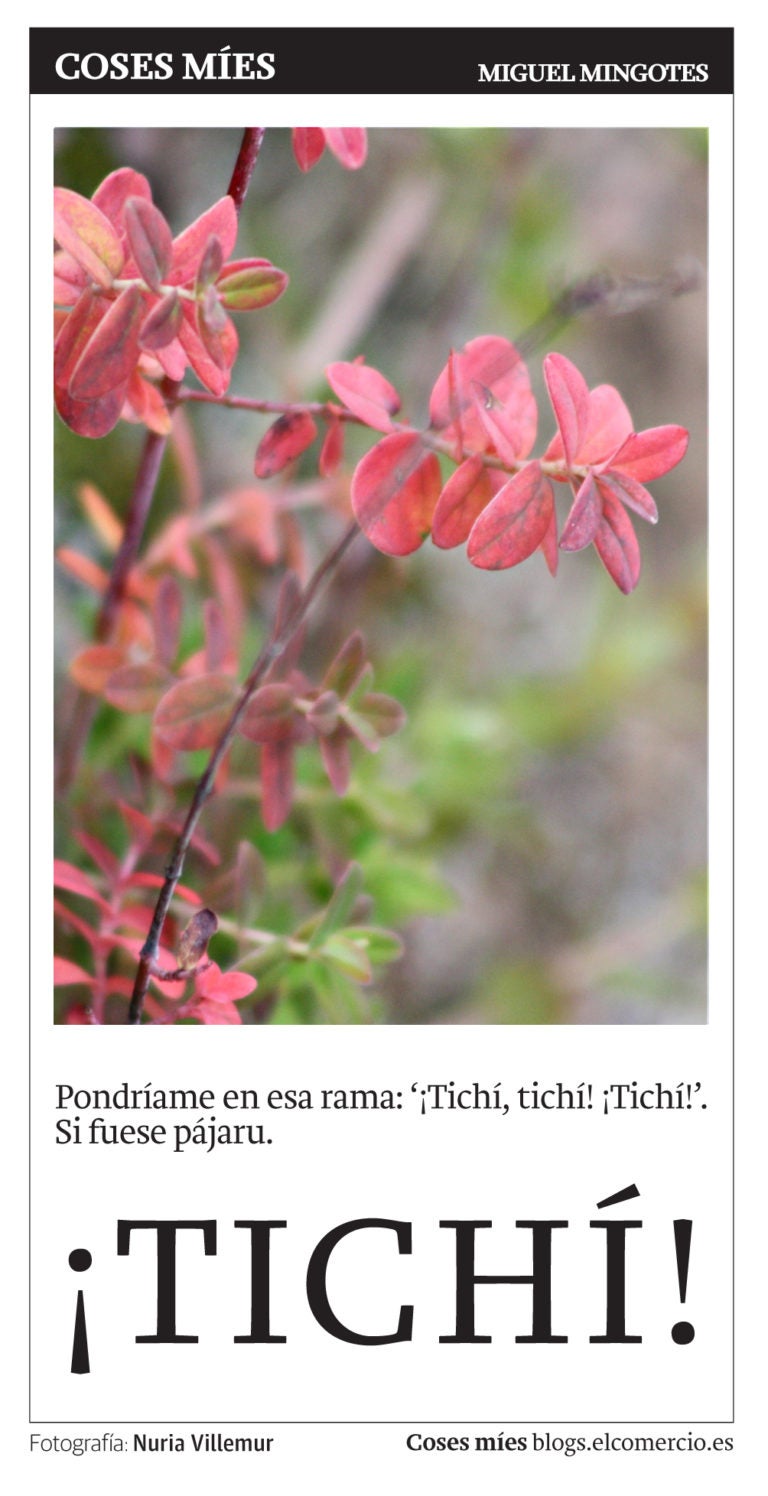 ¡Tichí! | Coses míes - Blogs elcomercio.es
